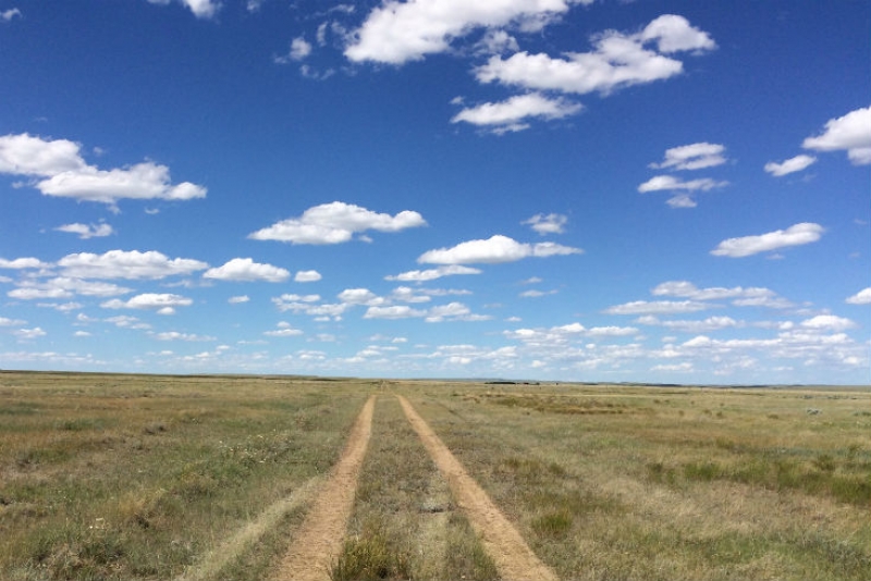 Understanding prairie grasslands | University of Winnipeg News