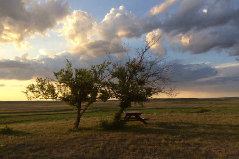 Understanding prairie grasslands | University of Winnipeg News