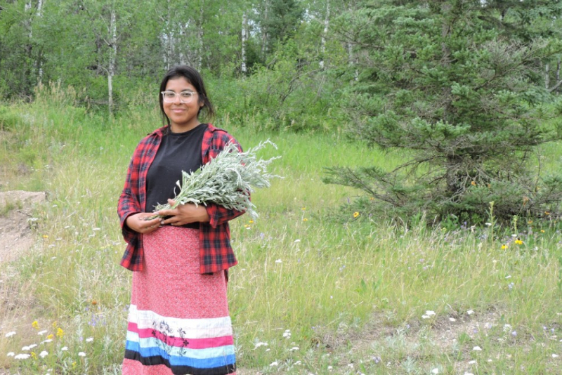Land-based course weaves Indigenous perspectives with plant science ...