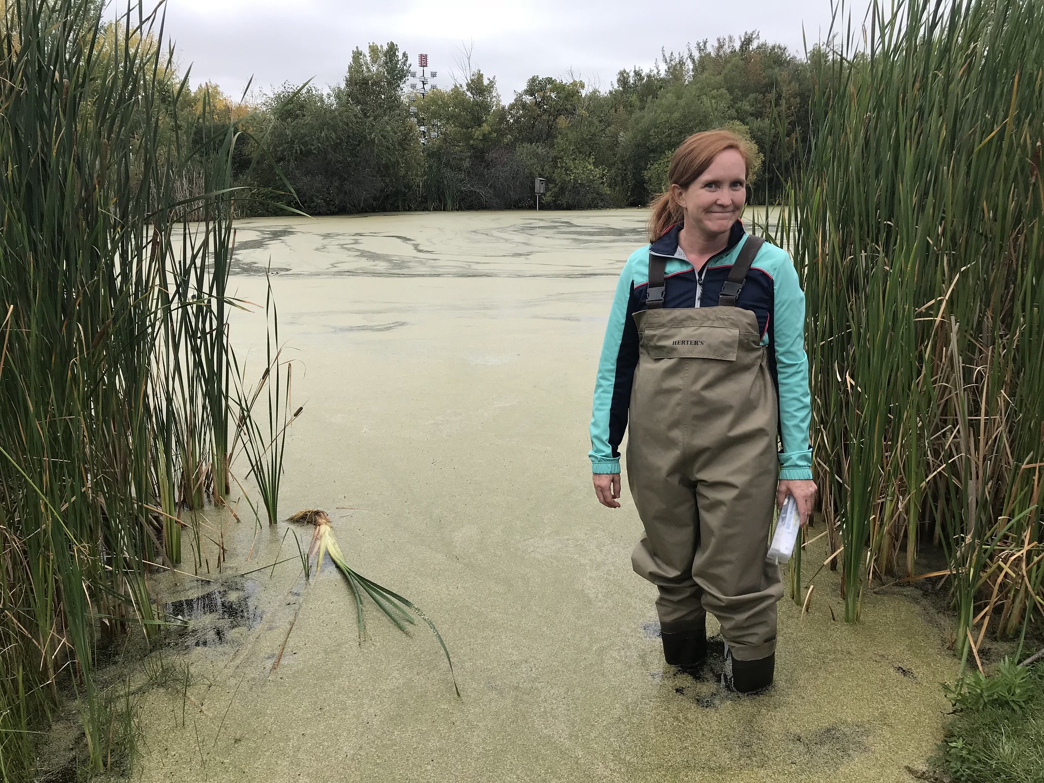 UWinnipeg research team probes ecosystem change in Churchill region ...