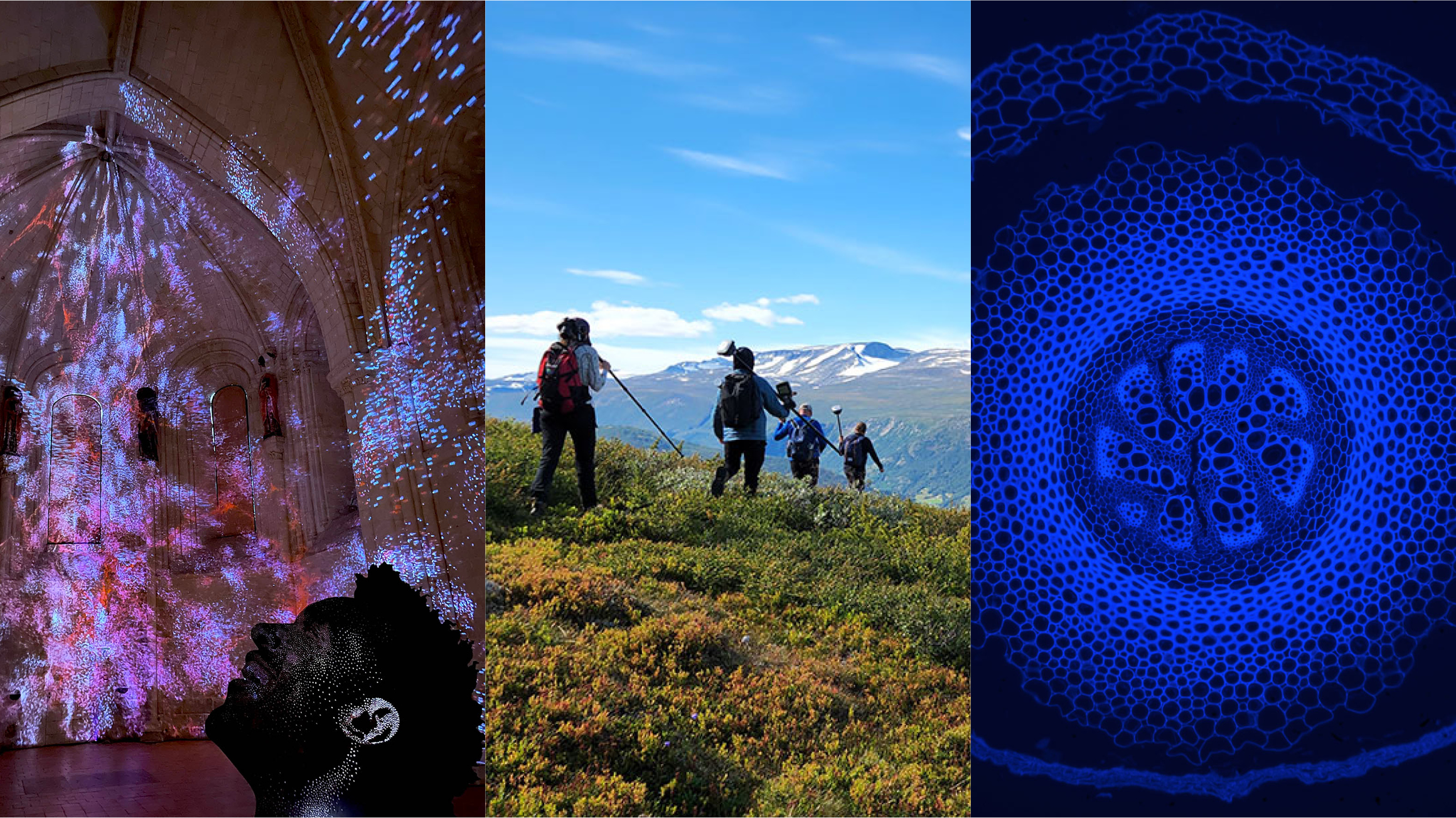 Research photography competition delivers wow factor | University of ...